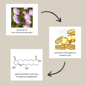 Primrose Oil Pills for Labor Induction