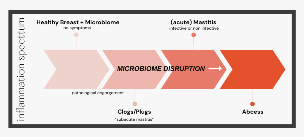 Understanding & Dealing with Postpartum Engorgement